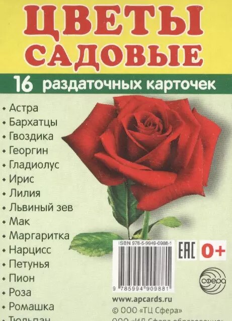 Дем. картинки супер Цветы садовые. 16 раздаточных карточек с текстом (63х87 мм)