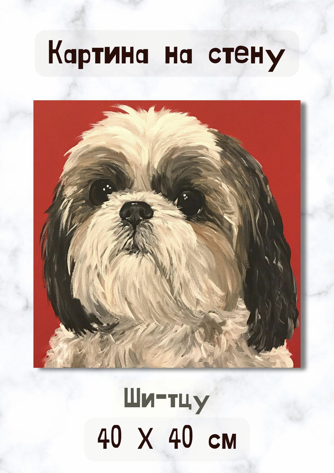 Картина на холсте в рисованном стиле с маленькой собакой 40х40 "Ши-тцу"
