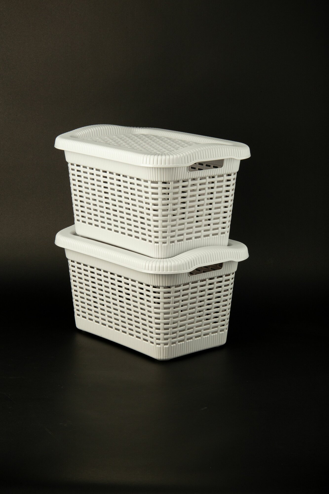 Корзина Econova с крышкой 45х30х25 см, 2 штуки, для хранения вещей