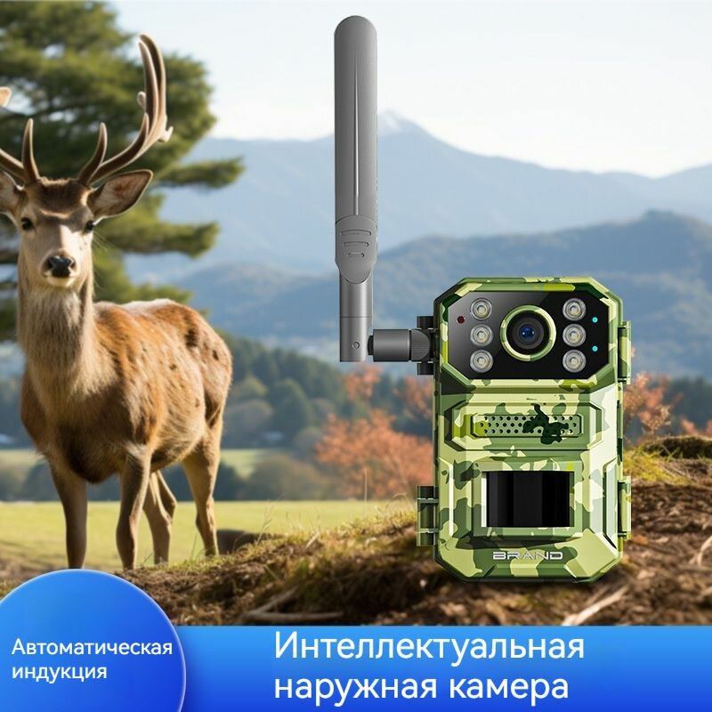 Фотоловушка — фото 1