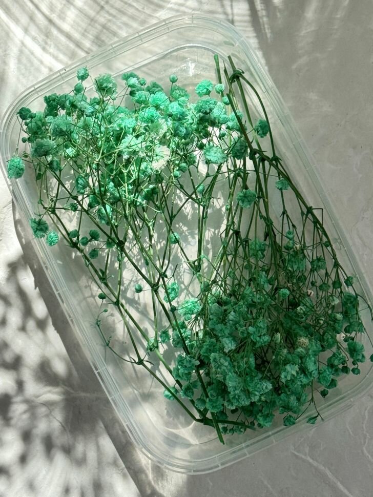 Натуральные сухоцветы для декора гипсофилы EPOXYMASTER, бирюзовые — фото 1