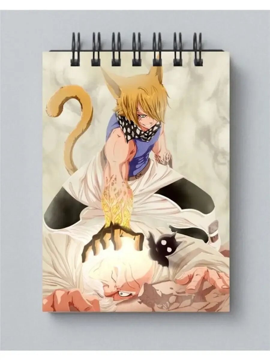 Блокнот Хвост Феи, Fairy Tail №11, А5