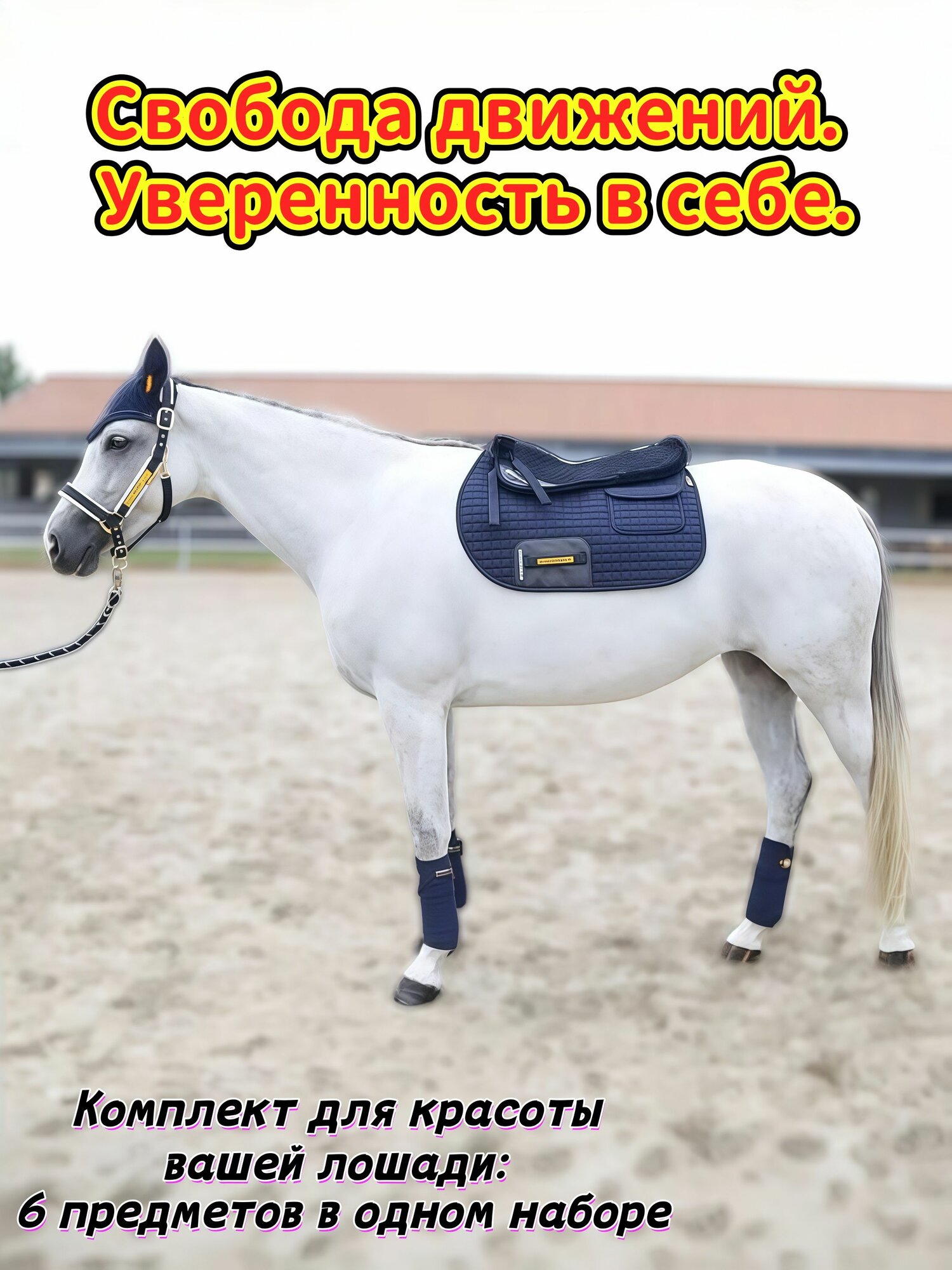 Конный набор 6 в 1 Cavassion Luxury: недоуздок, повод, ногавки, наушники, потник Снаряжение для лошади