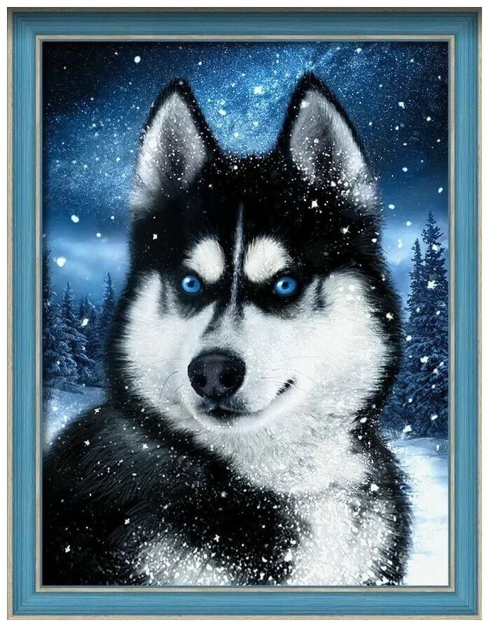 Набор Алмазная живопись #АЖ-1804 Хаски в снегу, Алмазная Мозаика, 30 х 40 см