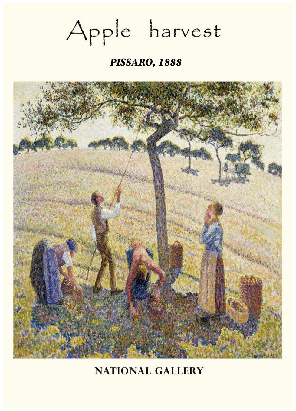 Постер / Плакат / Картина Камиль Писсарро - Урожай яблок 40х50 см в подарочном тубусе