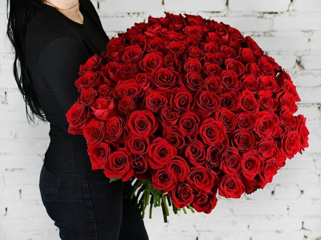Букет 101 красная роза Эксплорер 60 см. Эквадор