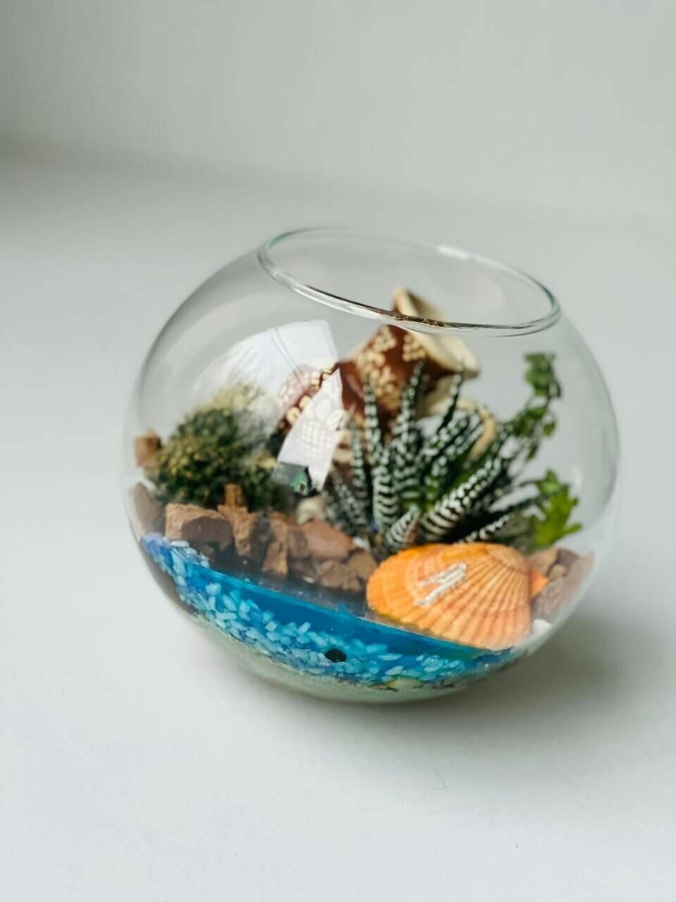Флорариум с водой / Комнатное растение / Подарок