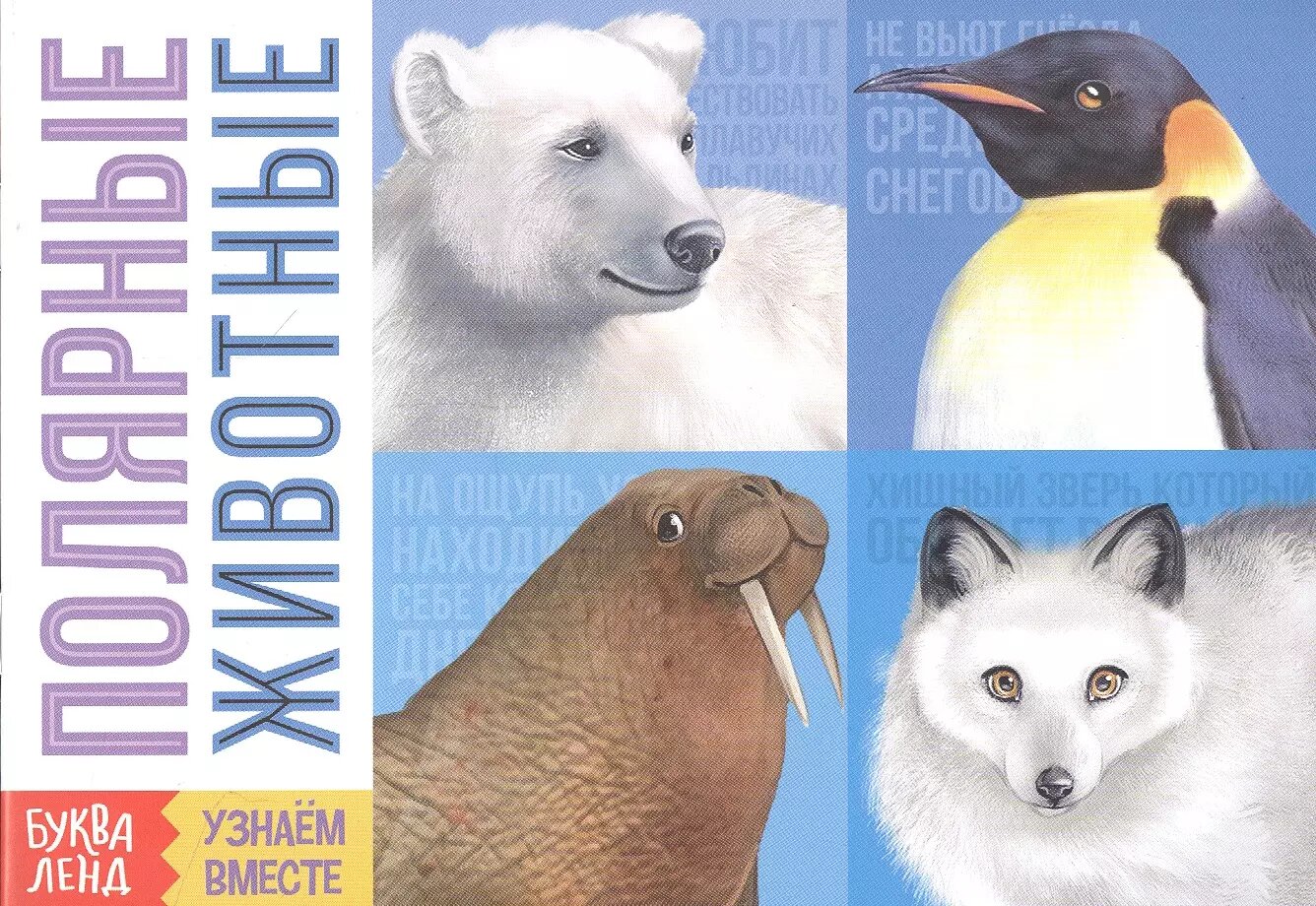 Обучающая книга «Полярные животные» ()