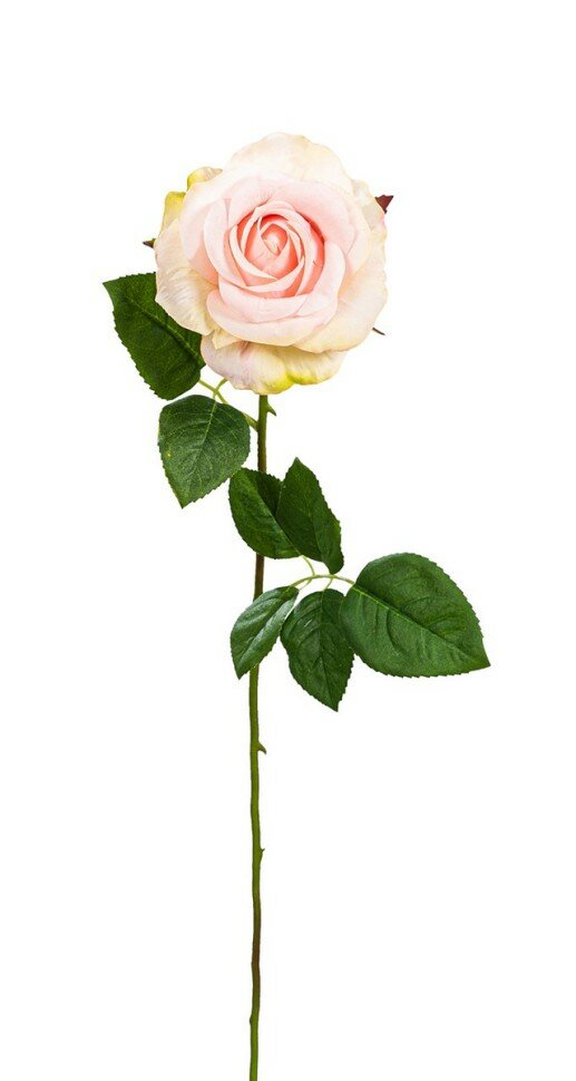 Fiebiger Floristik 207122-400 Цветок декоративный "Роза", 58 см