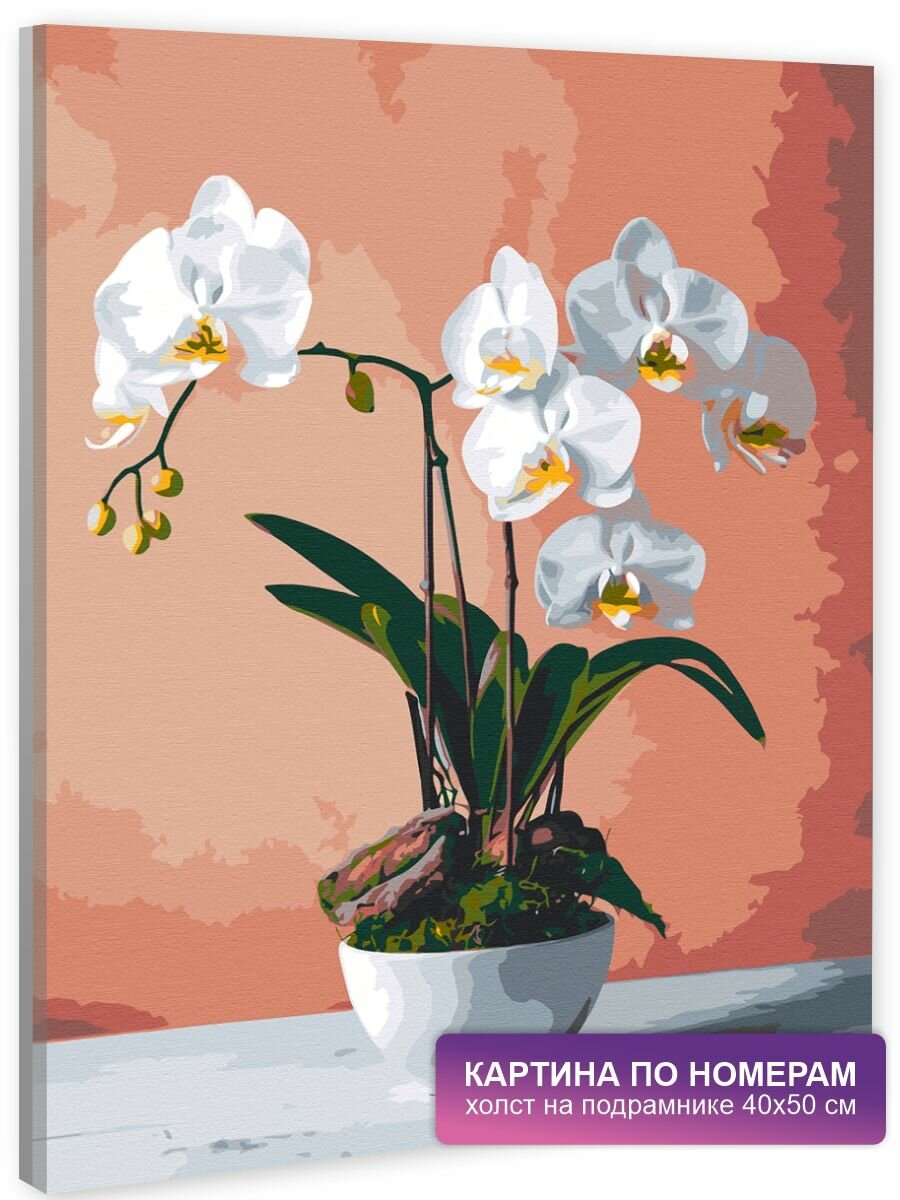 Картина по номерам на холсте с подрамником 40х50 см. Цветы, букеты. "Орхидеи", арт. 4912/