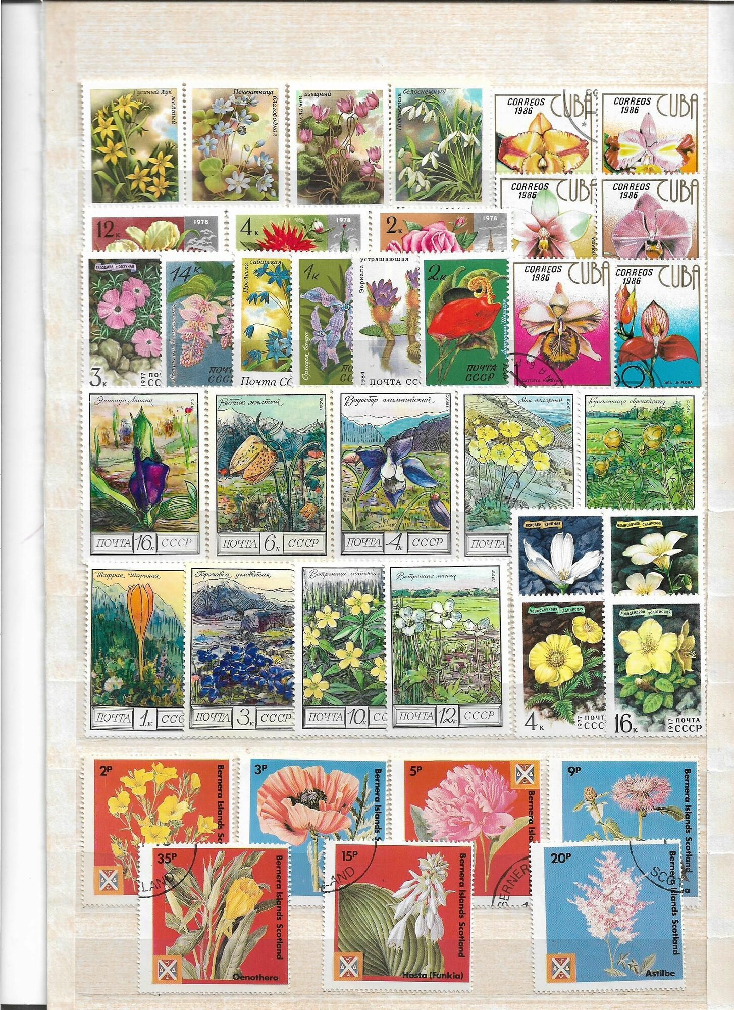 Почтовые марки Мира. Флора. Полные и неполные серии. Гашеные. Набор из 38 марок.