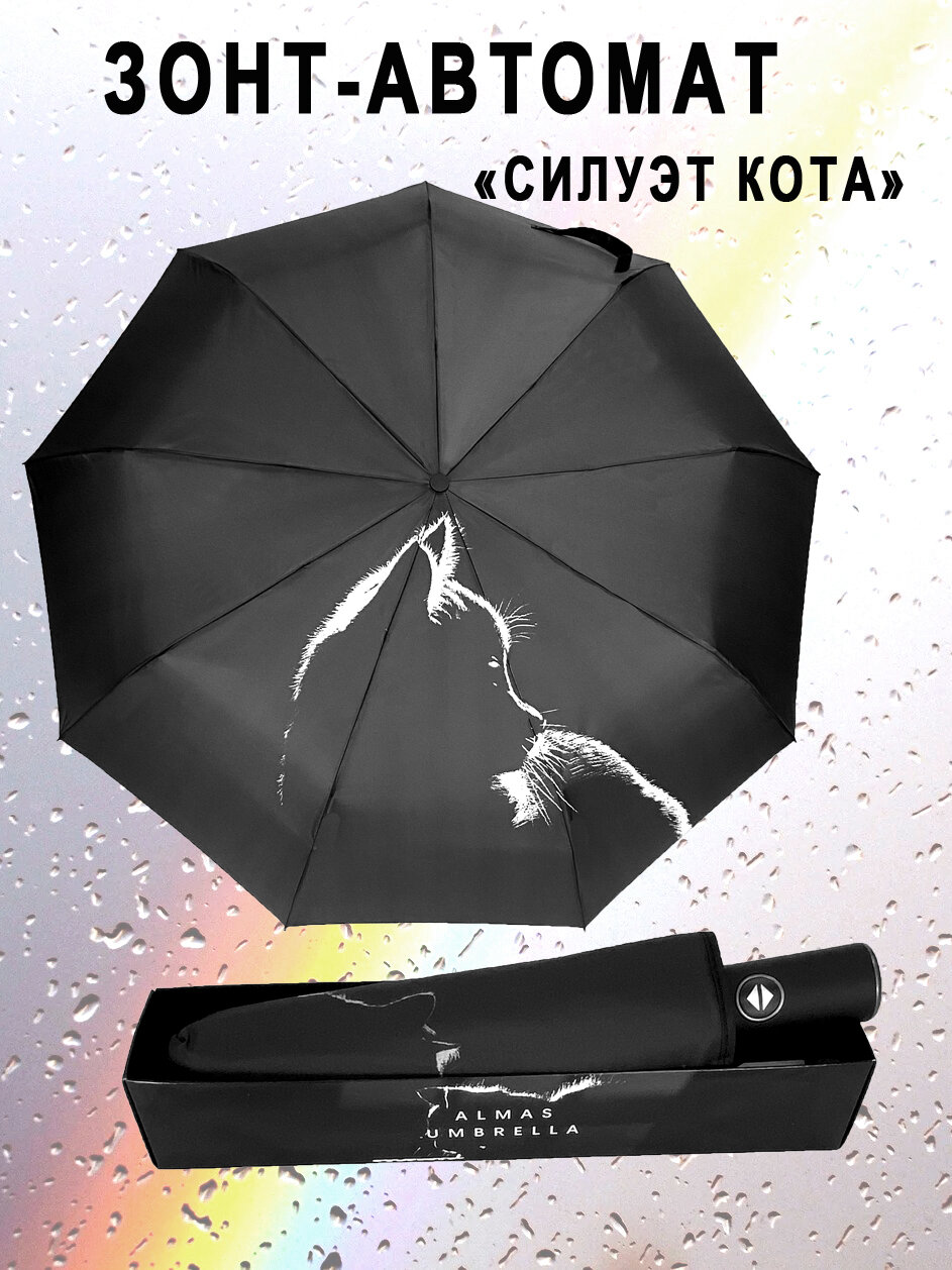 Зонты