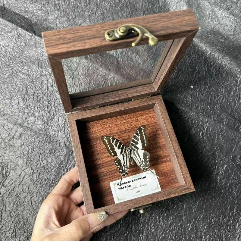 GEALFIS настоящие бабочки в рамке образцы насекомых 3D энтомологическая коллекция декор для дома и офиса