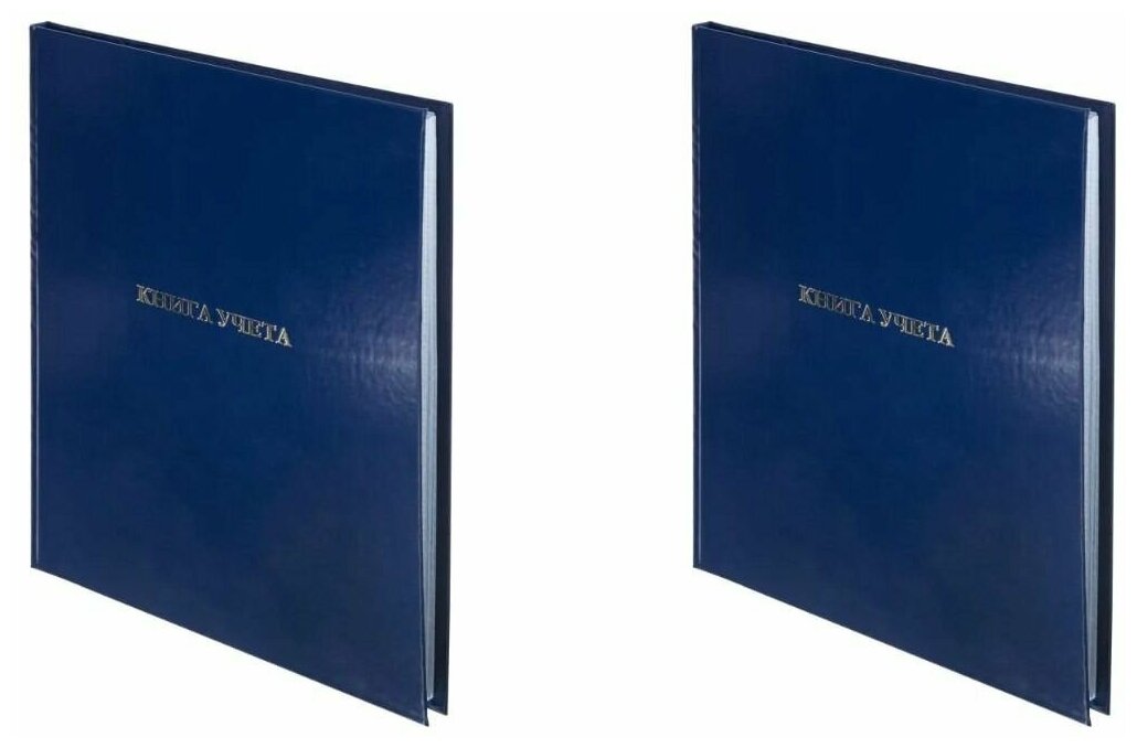 Attache Книга Учета 96 листов, в клетку, офсет, 2 шт/