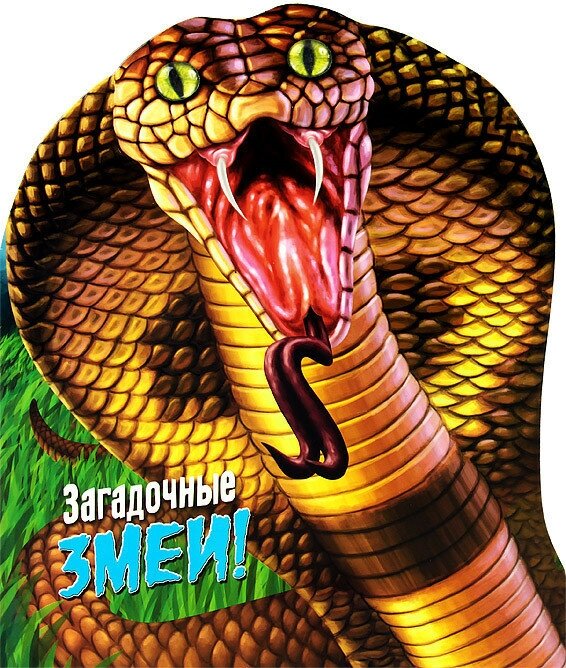 Дикие животные. Загадочные змеи