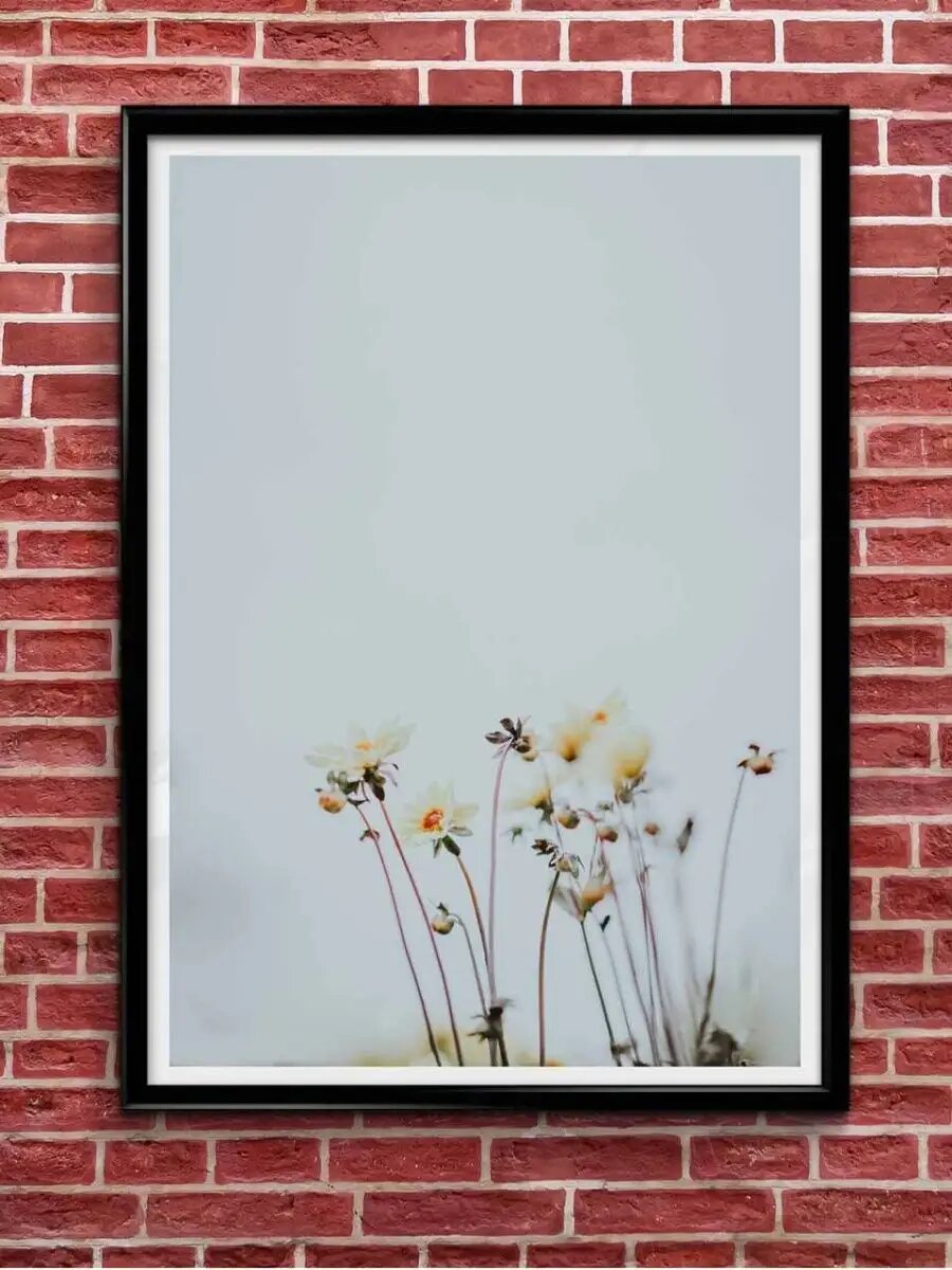 Плакат, Постер Цветы (постер на стену)