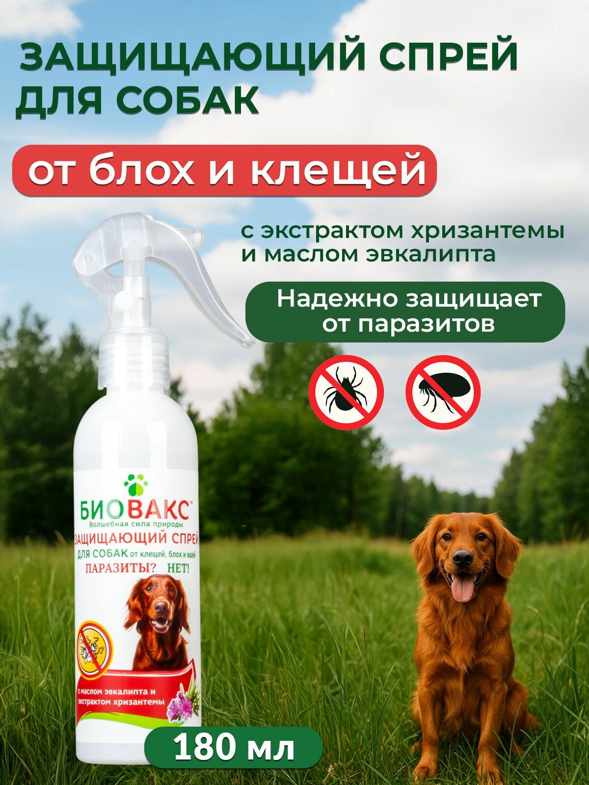 Спрей от блох и клещей для собак Биовакс, натуральный, с эвкалиптом и хризантемой, от власоедов и комаров, 180 мл