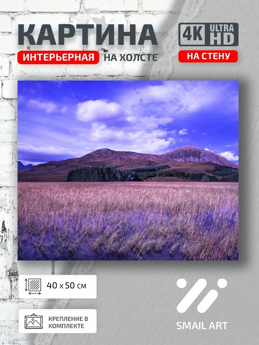 Картина на холсте интерьерная 40 на 50 на стену Холмы Landscape для кафе пейзаж интерьер