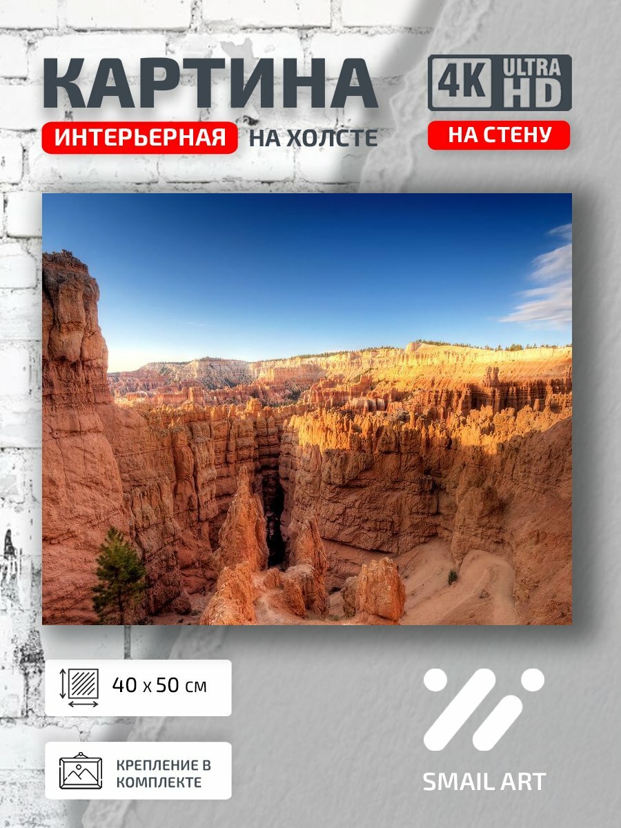 Картина на холсте интерьерная 40 на 50 на стену Каньон Landscape для офиса пейзаж интерьер