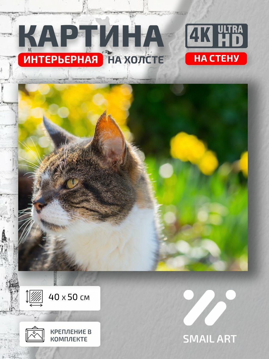 Картина на холсте интерьерная 40 на 50 на стену Солнце Animal для гостиной animal style