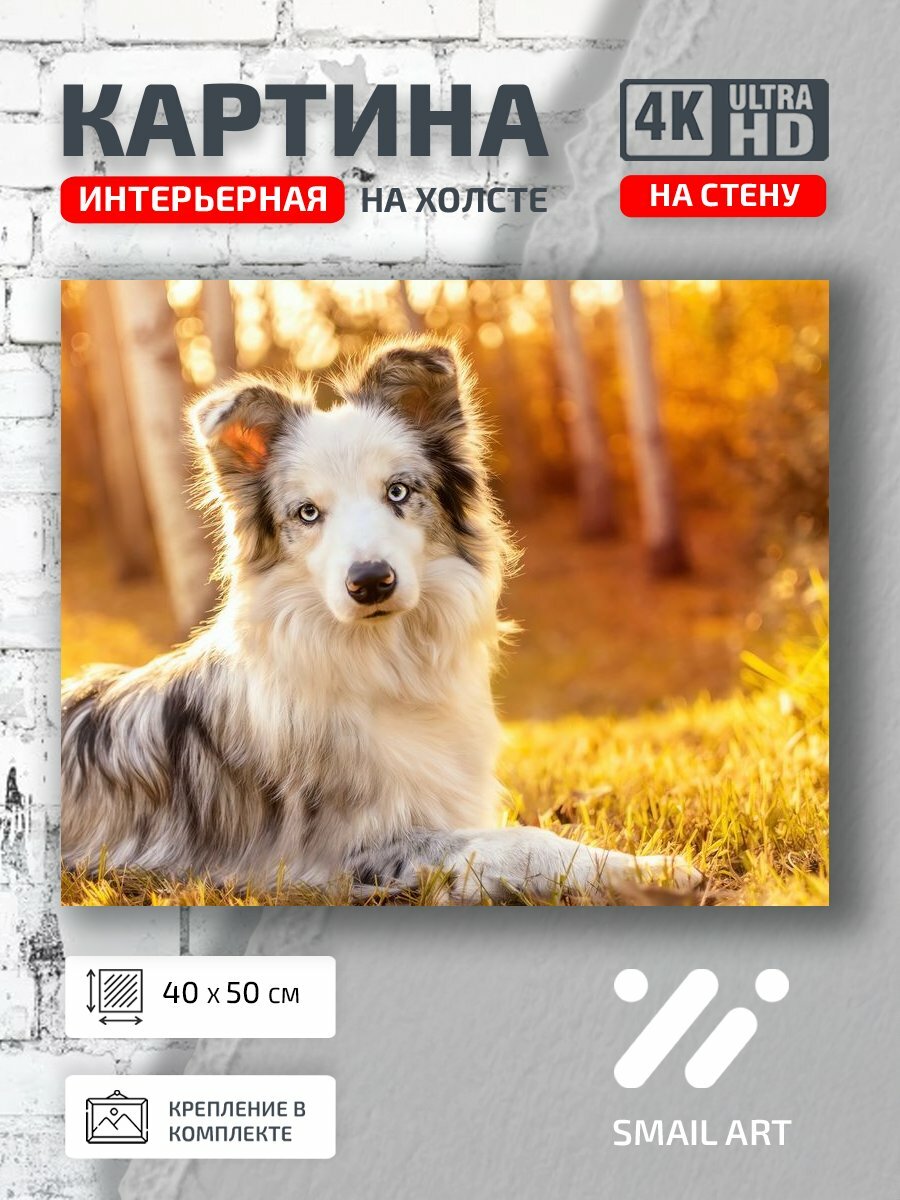 Картина на холсте интерьерная 40 на 50 на стену Бело-серый Mood для спальни атмосфера декор