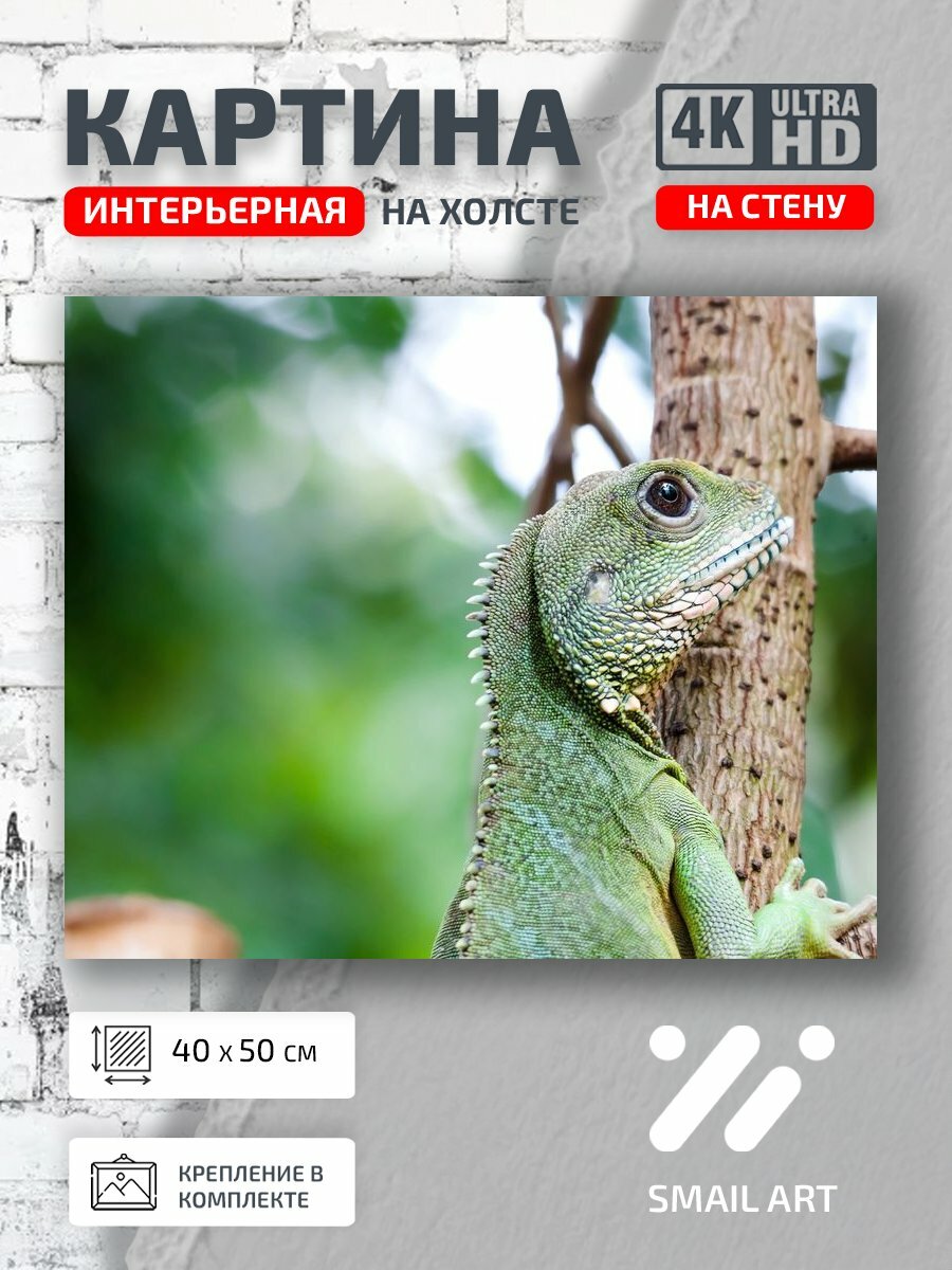 Картина на холсте интерьерная 40 на 50 на стену Игуана Landscape для гостиной пейзаж декор