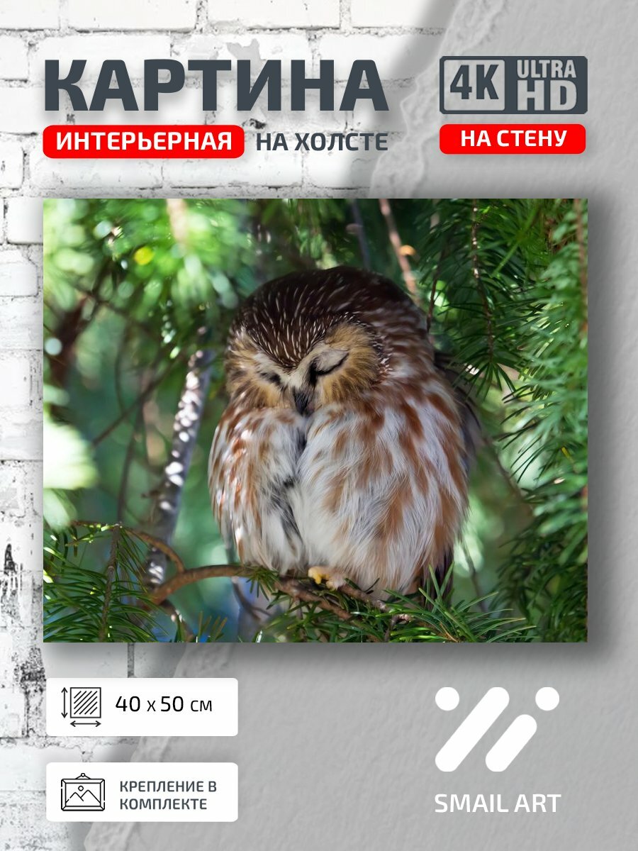 Картина на холсте интерьерная 40 на 50 на стену Ели Animal для спальни animal style декор