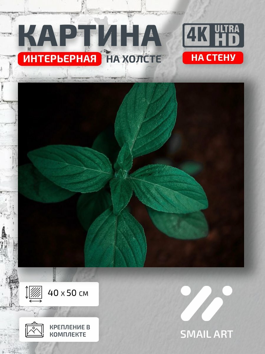 Картина на холсте интерьерная 40 на 50 на стену Зеленый Landscape для кабинета пейзаж декор