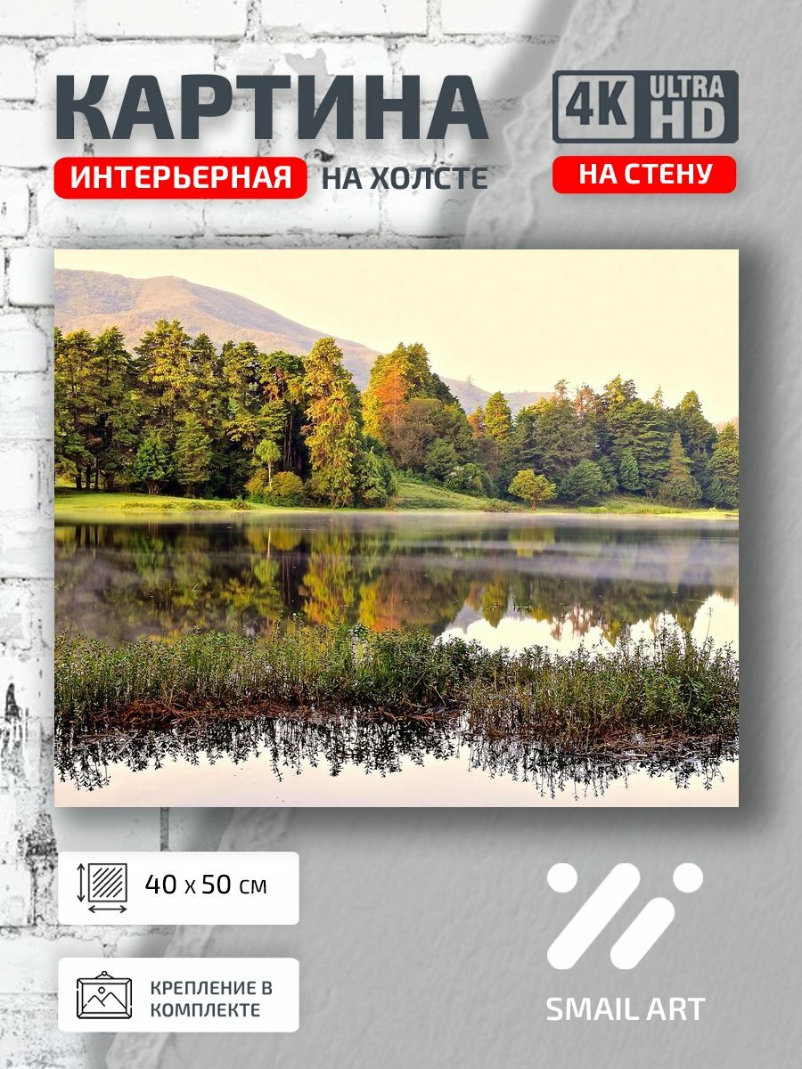 Картина на холсте интерьерная 40 на 50 на стену Деревья Landscape для гостиной пейзаж декор