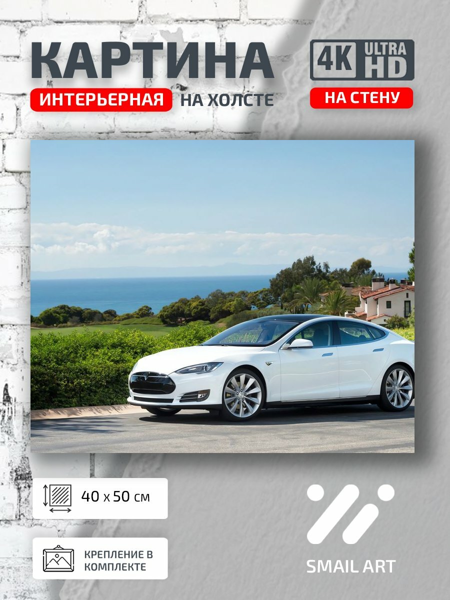 Картина на холсте интерьерная 40 на 50 на стену Белая Tesla для студии авто дизайн интерьер