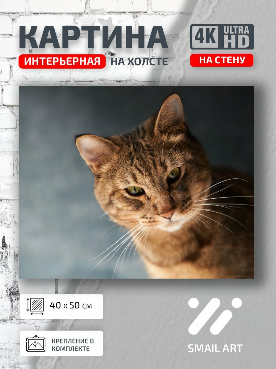 Картина на холсте интерьерная 40 на 50 на стену Кот Landscape для кафе пейзаж интерьер