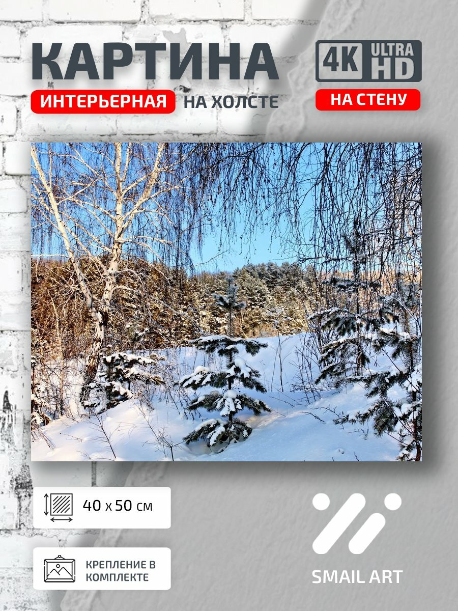 Картина на холсте интерьерная 40 на 50 на стену Зима birch для офиса пейзаж интерьер декор