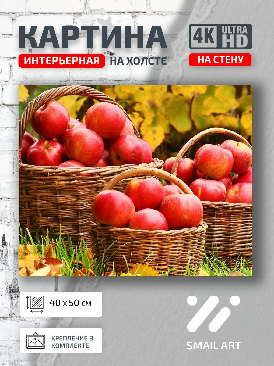 Картина на холсте интерьерная 40 на 50 на стену Листва Food для кухни кулинария интерьер