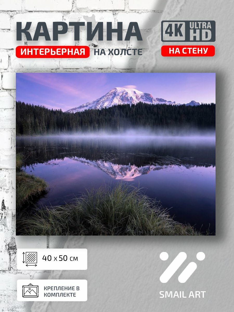 Картина на холсте интерьерная 40 на 50 на стену Туман Landscape для кафе пейзаж интерьер