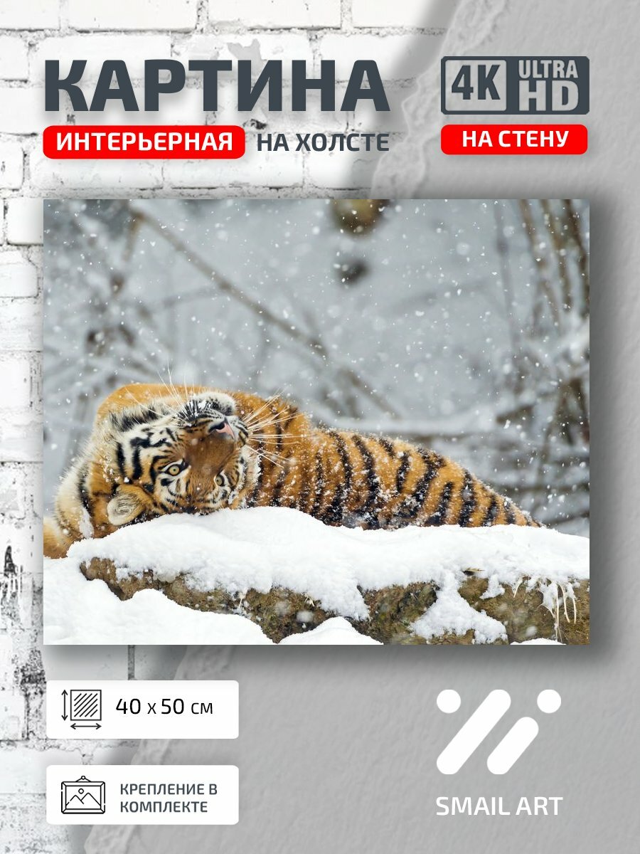 Картина на холсте интерьерная 40 на 50 на стену Тигр Animal для кабинета animal style декор