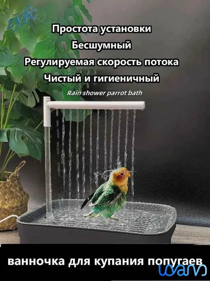 Душ для попугая-Специальное приспособление для купания домашних попугаев и птиц, Бесшумный, Регулируемая скорость потока-маленький