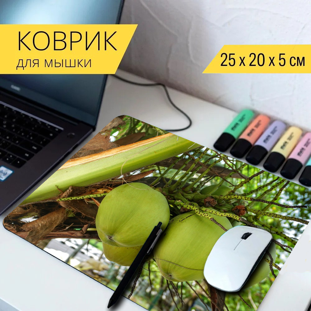Коврик для мыши с принтом "Большой, кокос, приготовление еды" 25x20см.