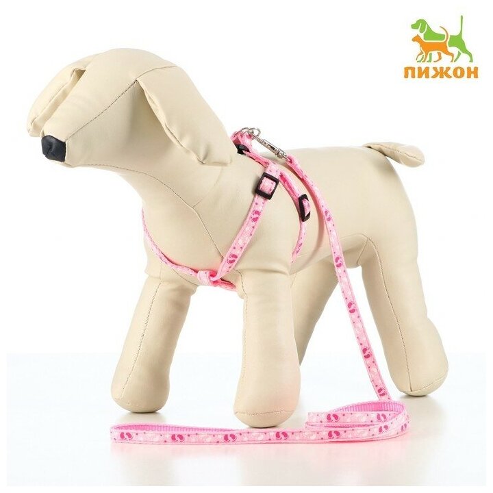 Комплект "Цветные следы", ширина 1 см, поводок 120 см, шлейка 23-35 см, розовый