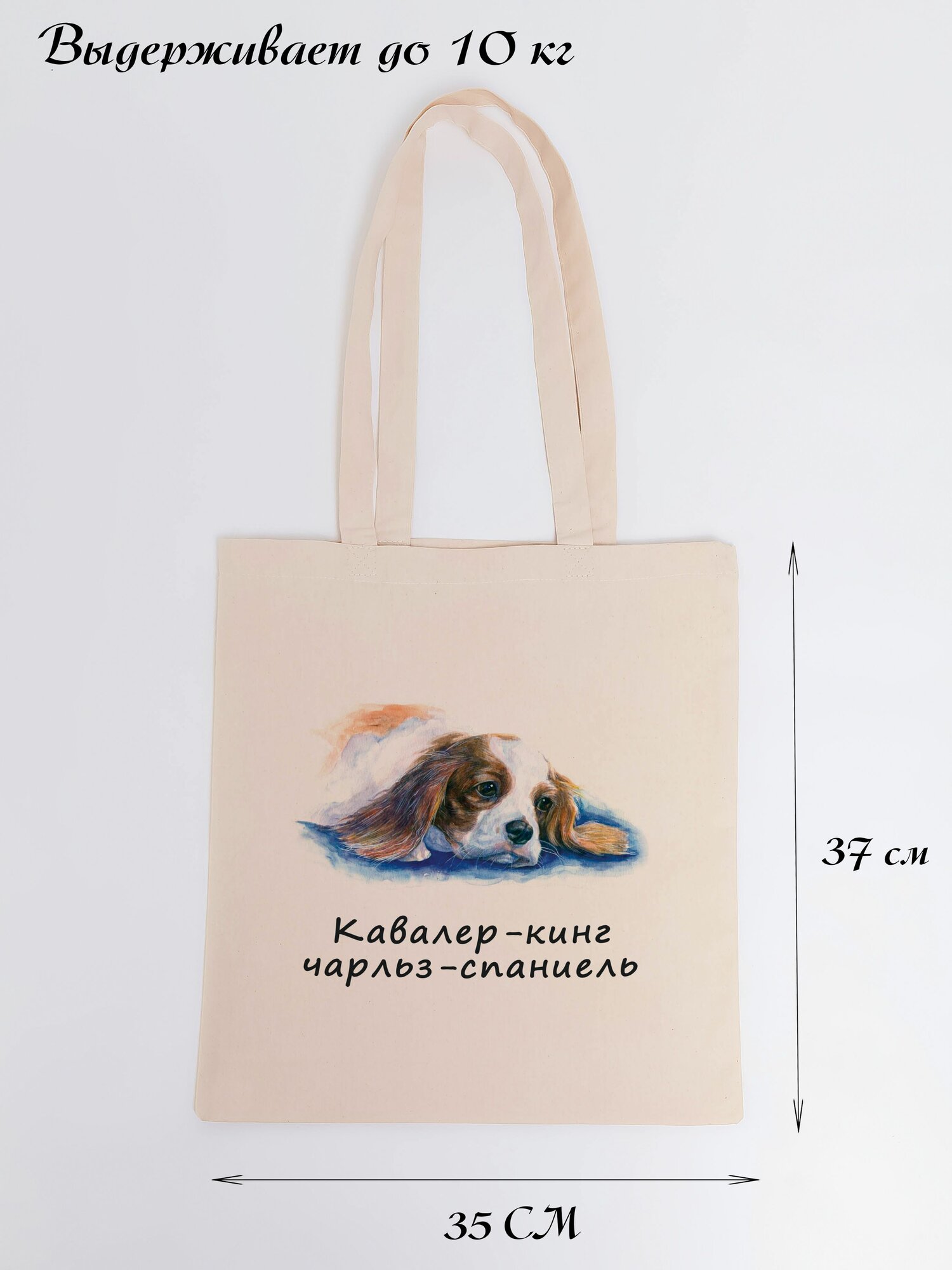 Сумка