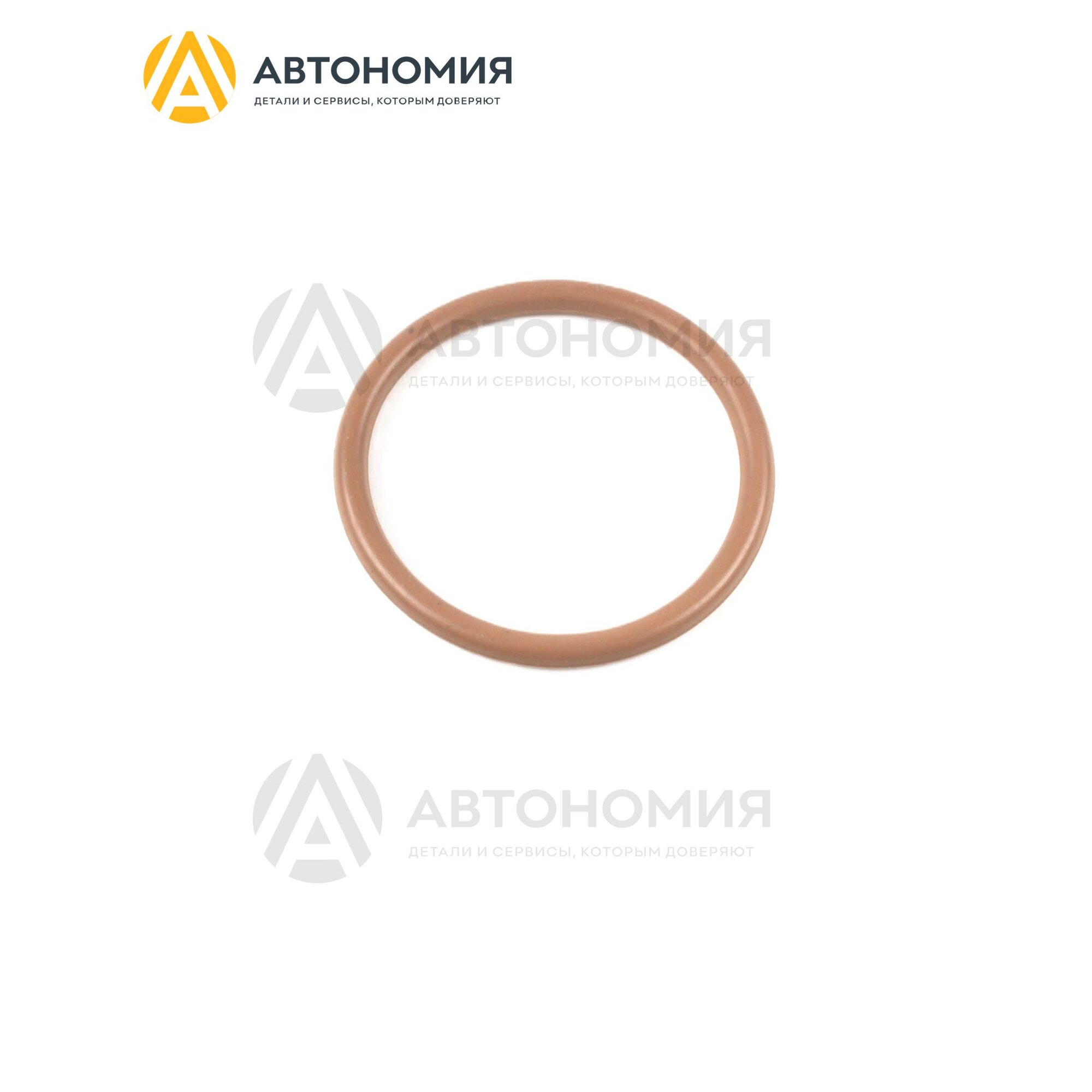 Кольцо уплотнительное радиатора акпп6 VAG 09G 321 181