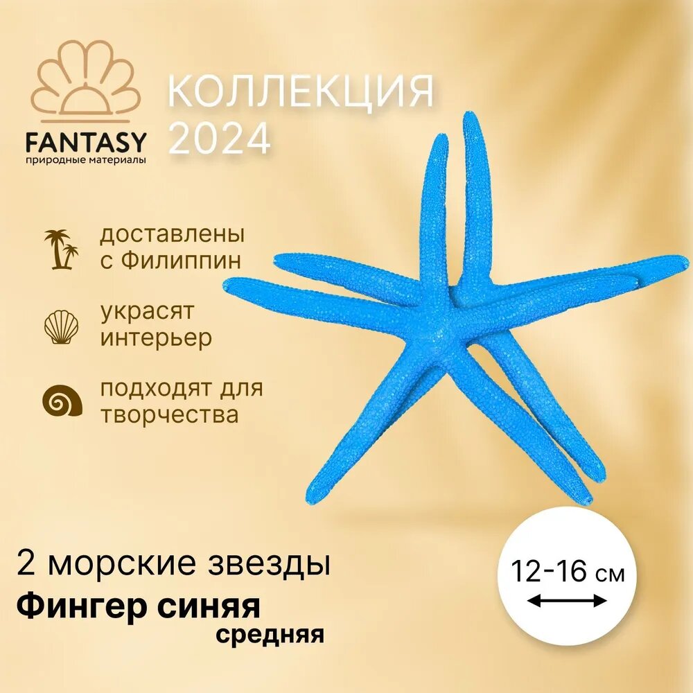 Натуральные морские звезды FANTASY Фингер синяя средняя, 2 шт, 12-16 см