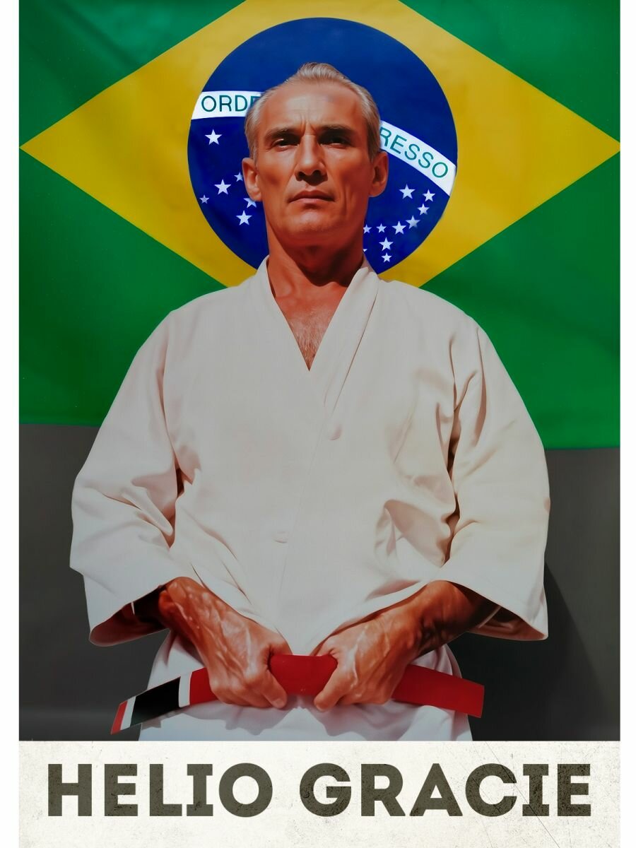 Постер "Элио Грейси". БЖЖ. А3 (297*420) мм. Высокое качество. Горячее ламинирование.