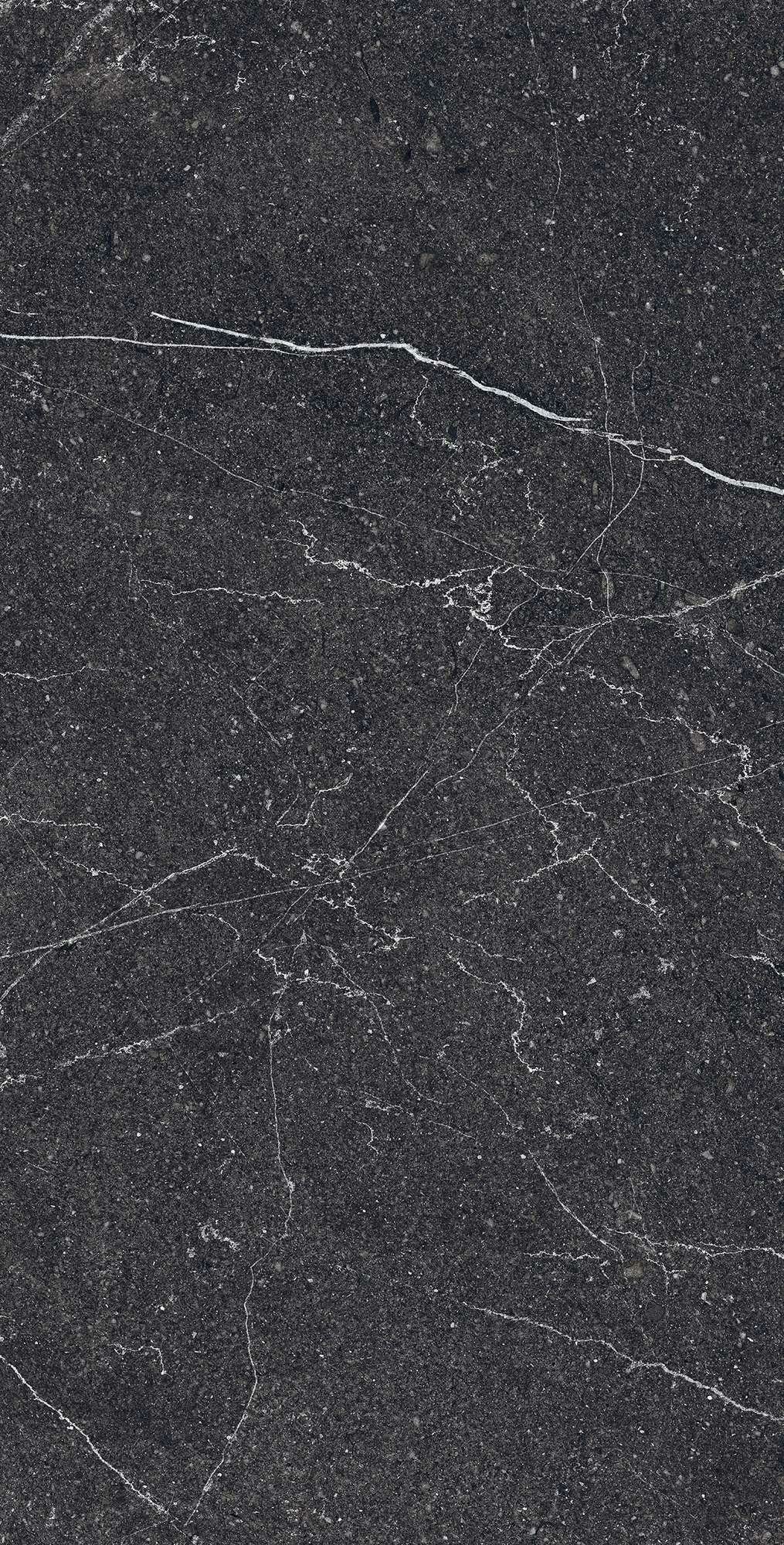 Керамогранит Arcadia Ceramica Equistone Charcol RG6003-A черный матовый 60х120 см