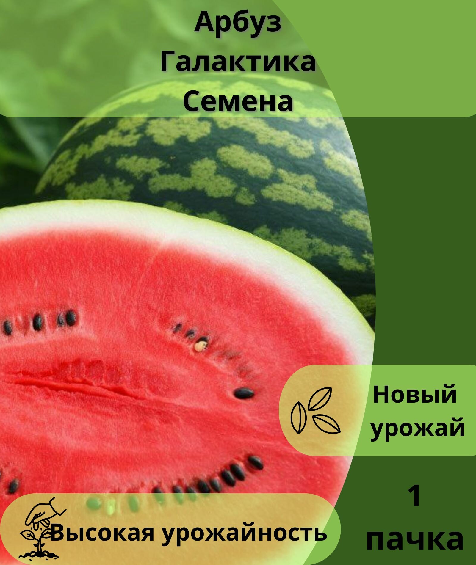 Арбуз Галактика, семена 10шт