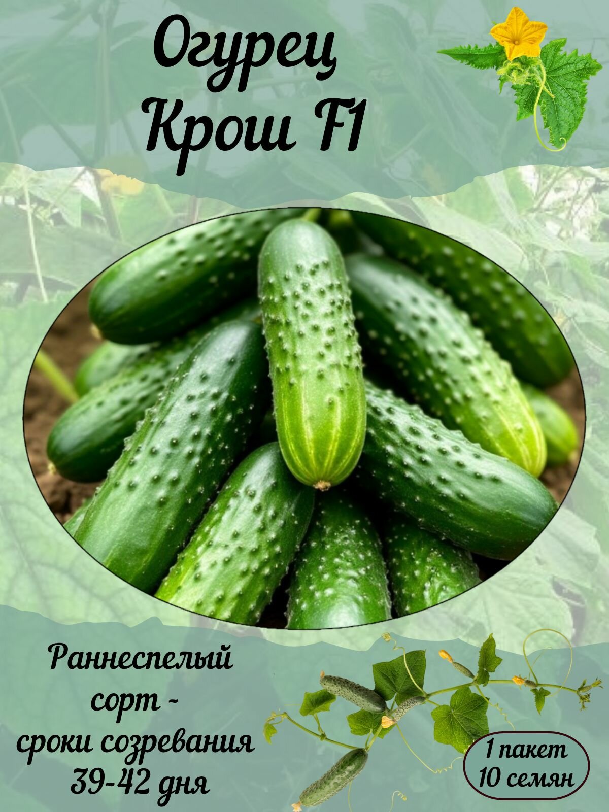 Огурец Крош F1, семена, 10 шт, 15 гр.