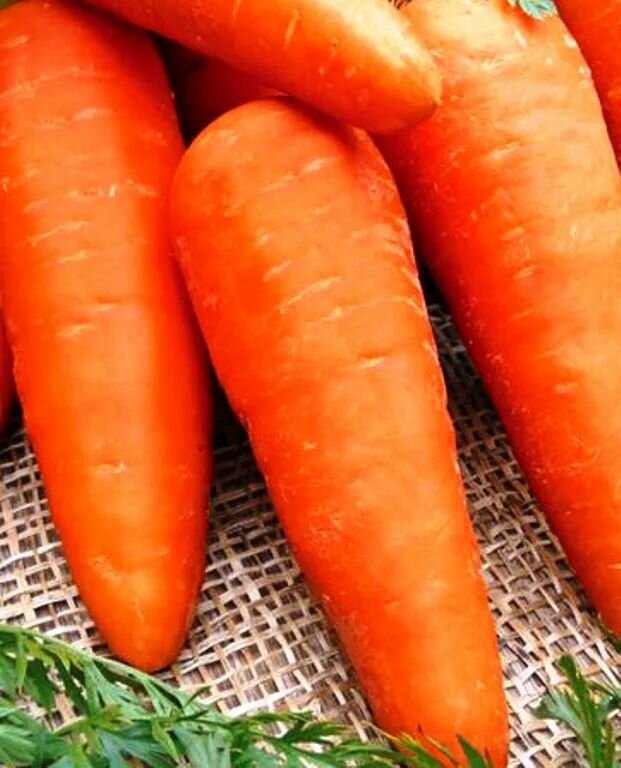 Коллекционные семена моркови F1 Кантербюри