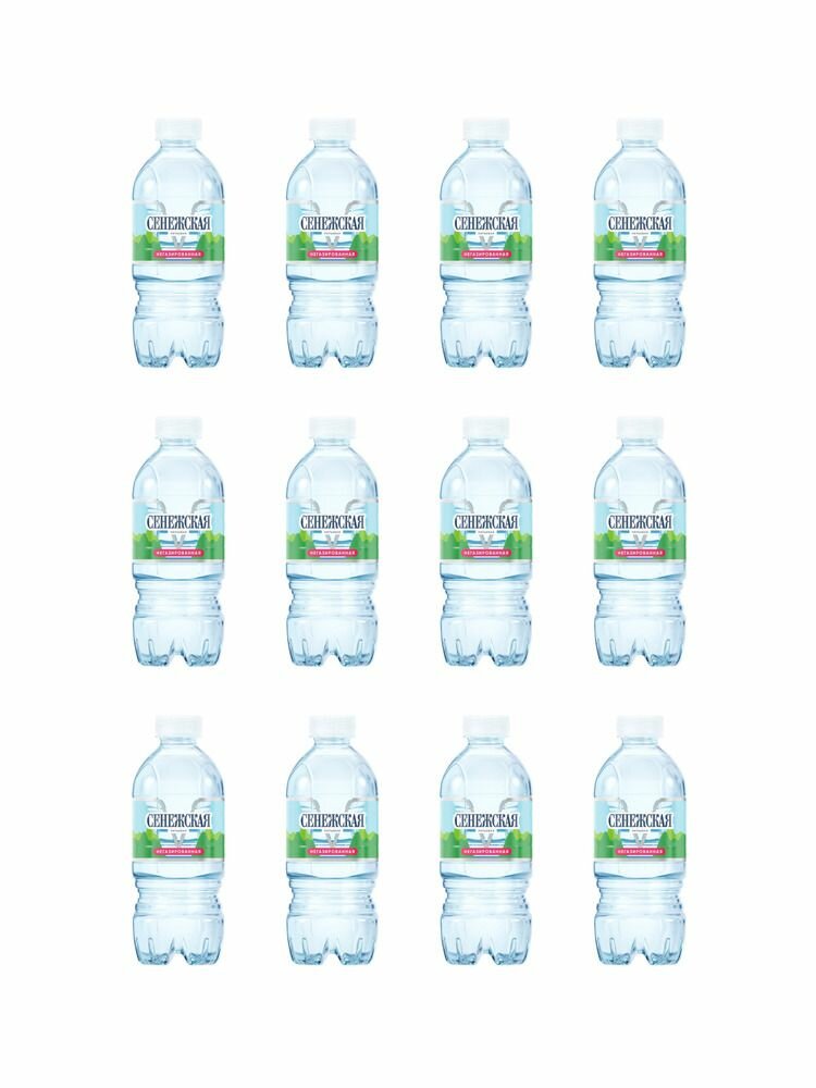 Сенежская Вода питьевая негазированная, 330 мл, 12 шт