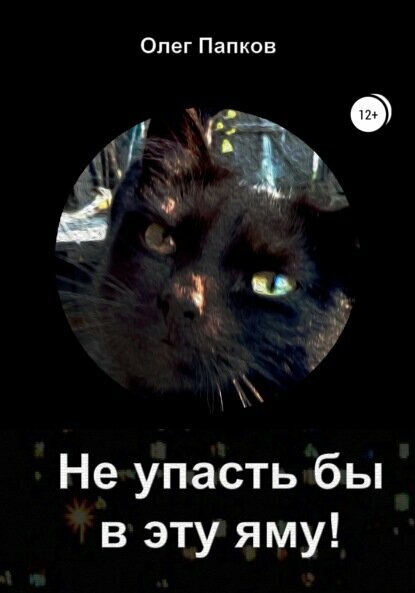 Не упасть бы в эту яму! [Цифровая книга]