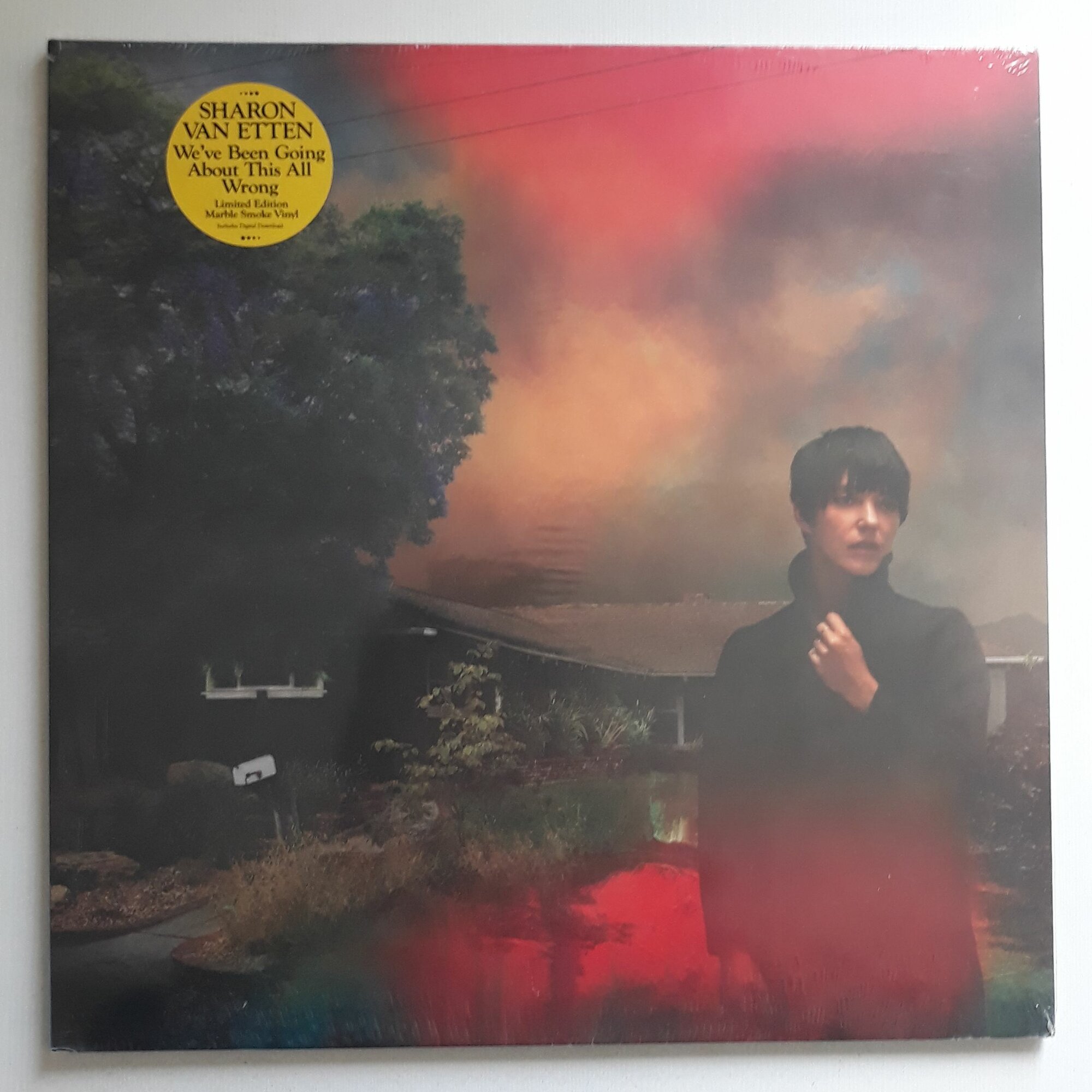 Виниловая пластинка Sharon Van Etten - We've Been Going About This All Wrong LP