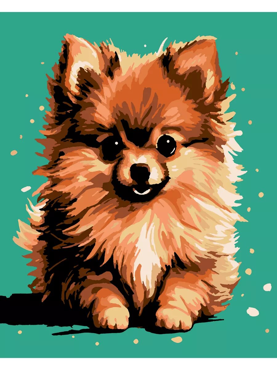 Картина по номерам Шпиц Холст на Подрамнике 40х50 см